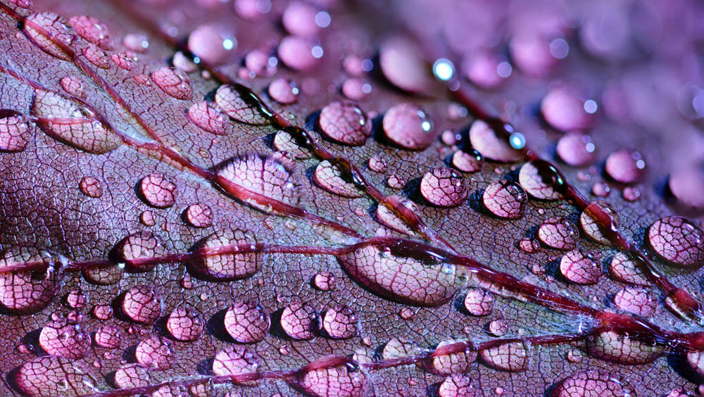 Sarah Maree - Patterns